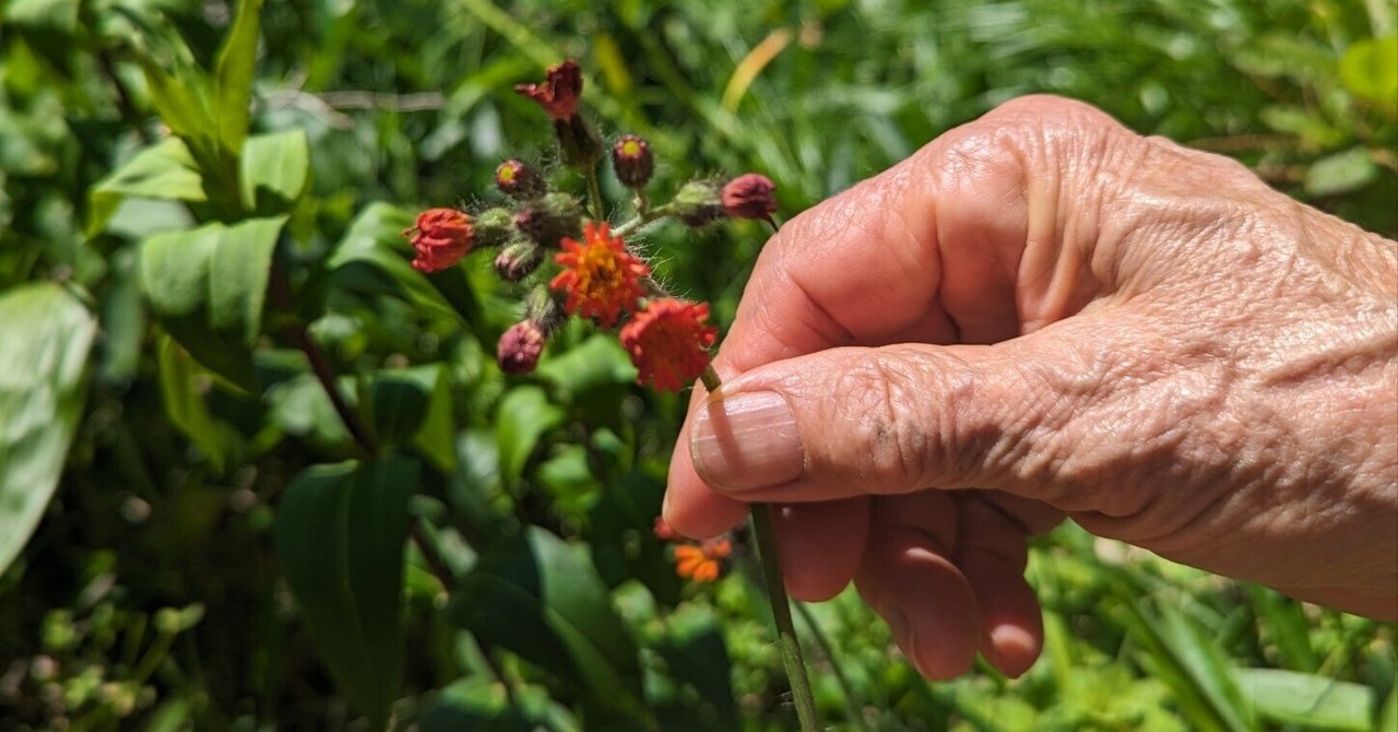 新しい 発見｜riko