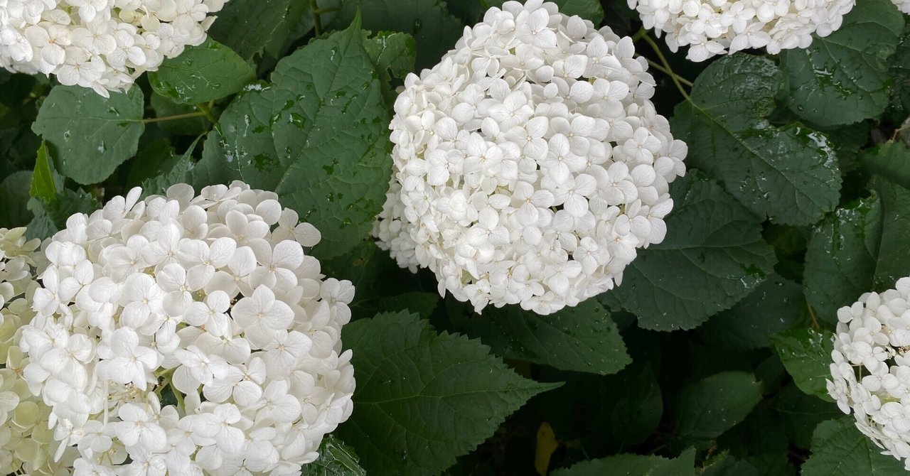 2023.5.17｜藍谷凪｜aitani nagi