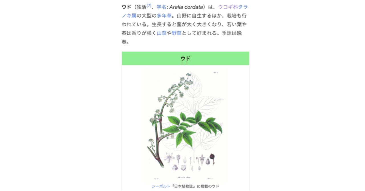 【草花】ウド（独活）｜200im