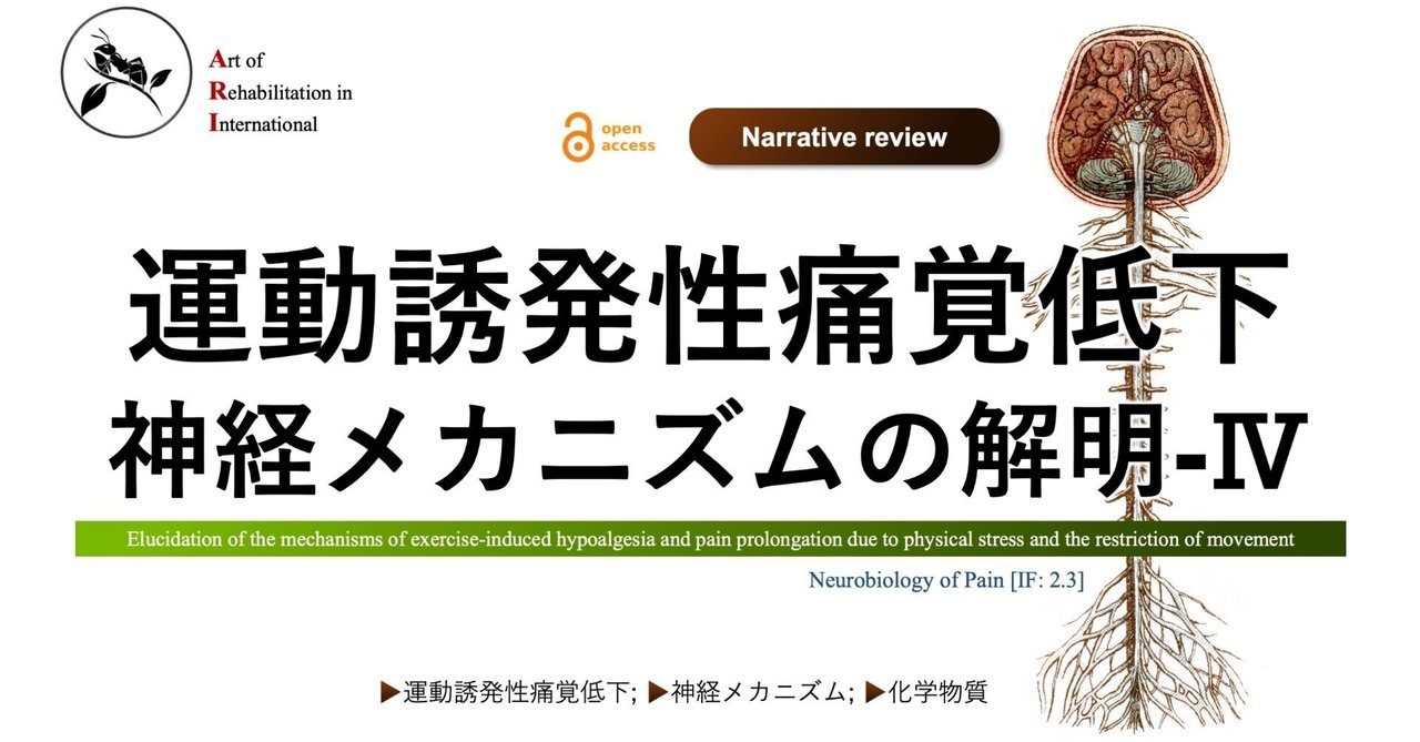運動誘発性痛覚低下。神経メカニズムの解明 Ⅳ|super Human 理学療法士/保健学博士 Phd