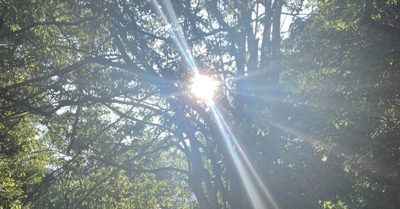 言葉の力｜messenger_sala