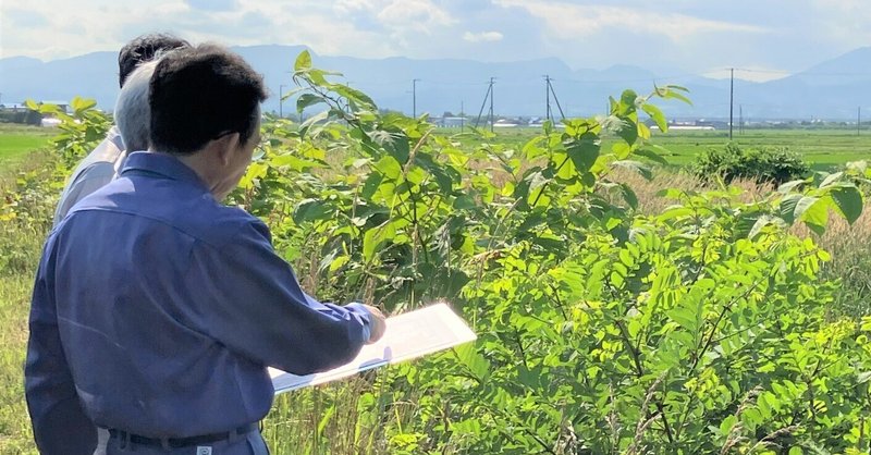 【7月4日】渡島平野土地改良区農地視察｜函館市長公式note