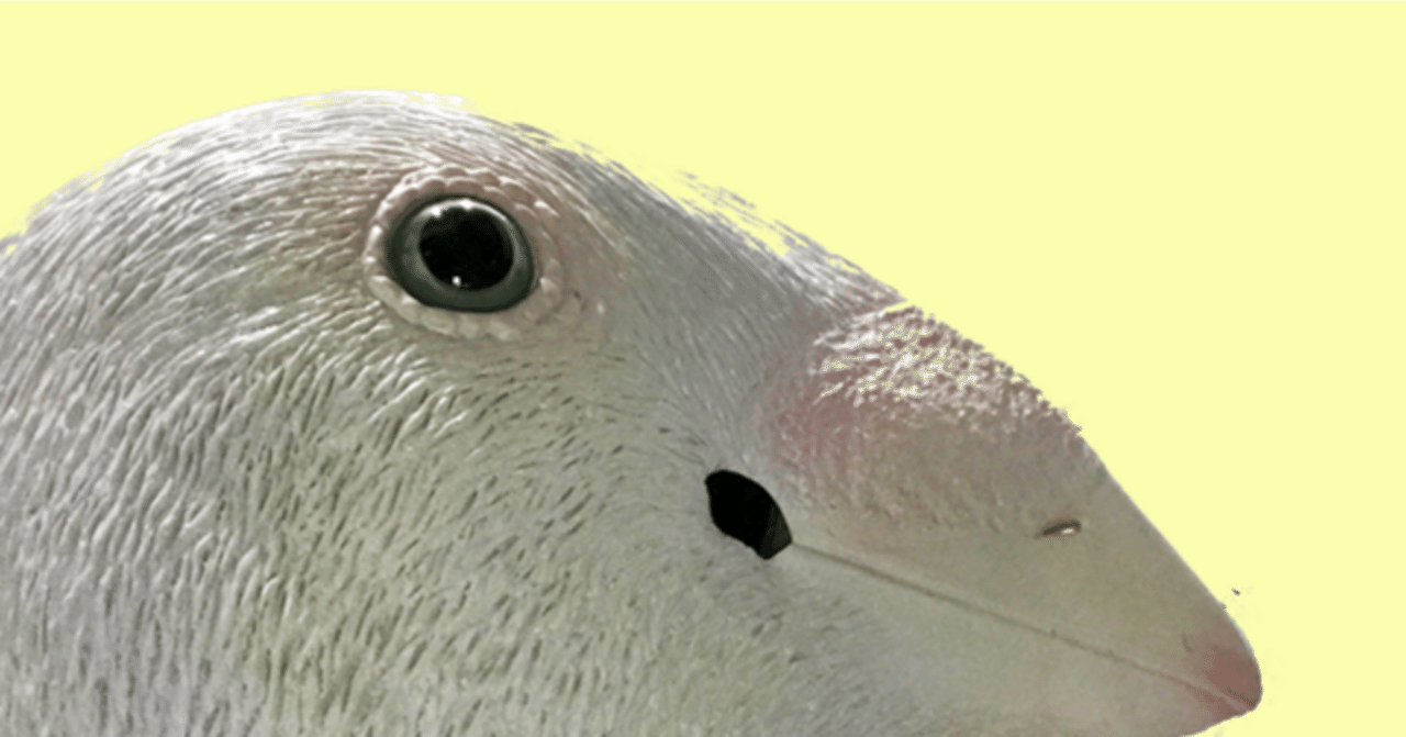 実は存在していたCYLTIE.のnoteアカウント｜CYLTIE.