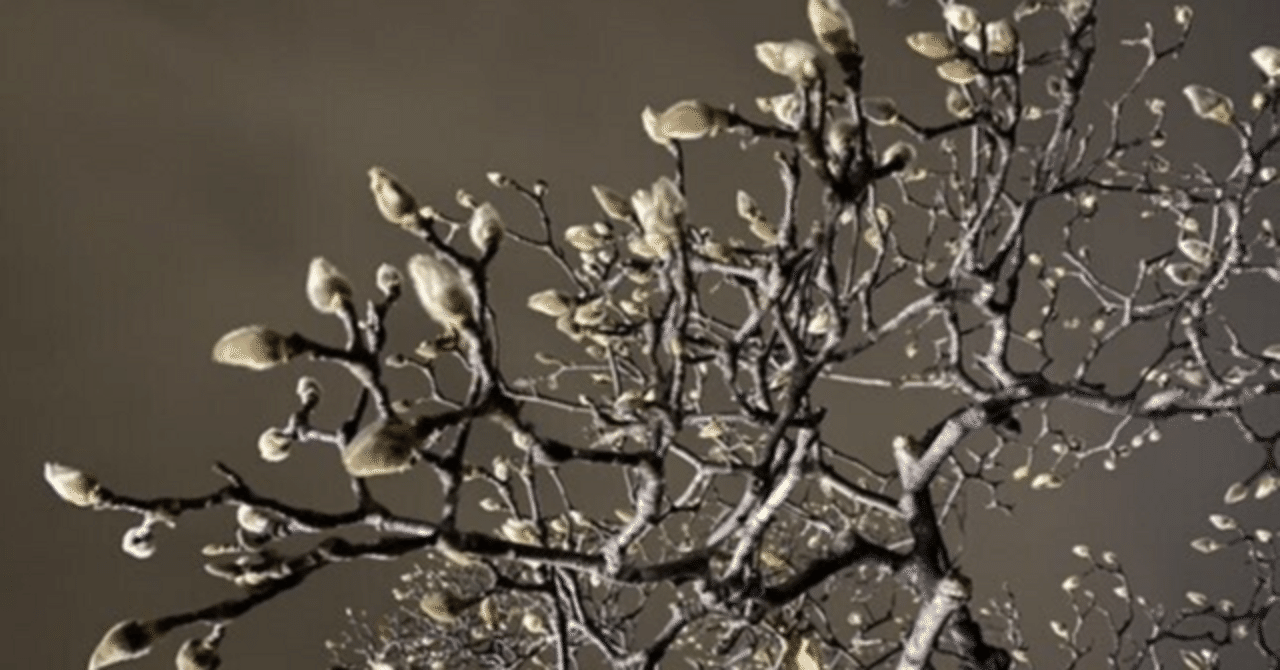 理性と心の器：大きなカオスの冬に備えて｜katoshi