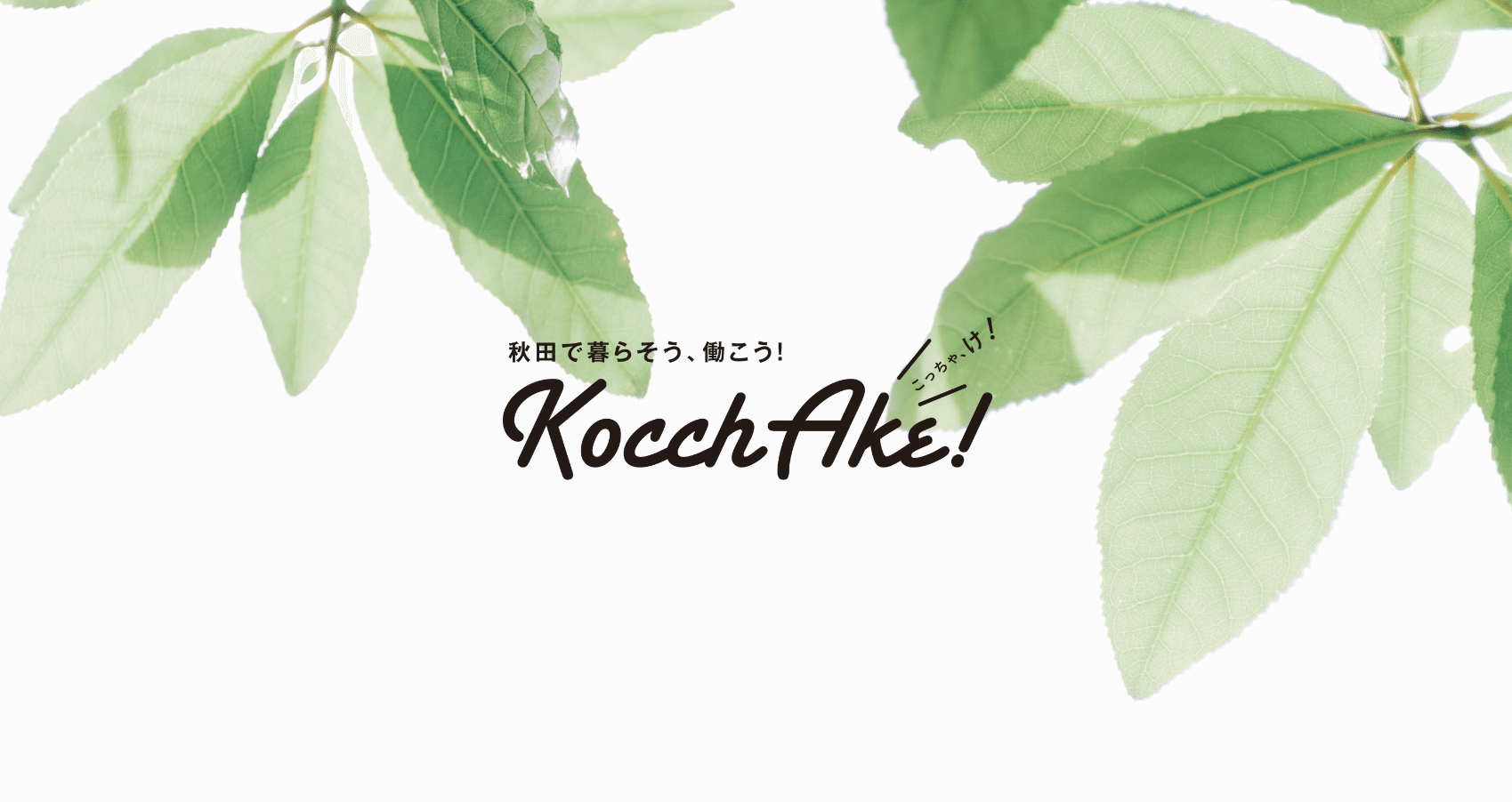 KocchAke!（こっちゃけ）｜秋田県就活情報サイト｜note