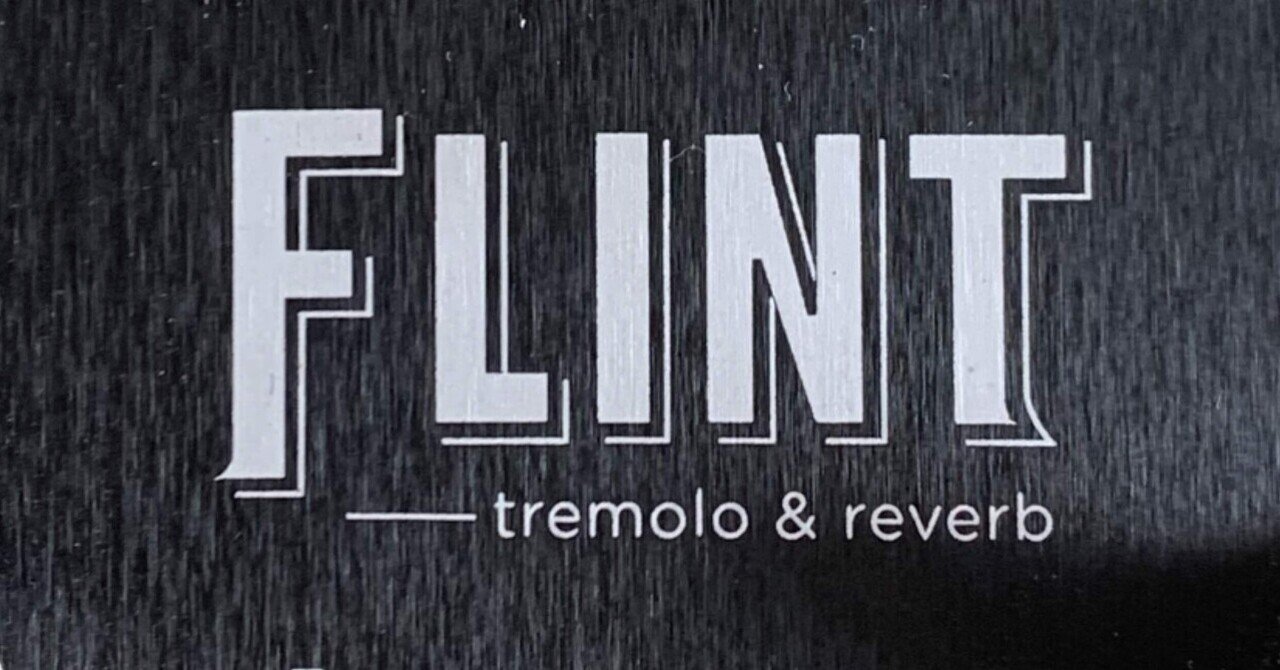 Strymon FLINT をようやく買った｜ケャズマスター