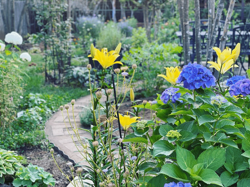 summer festivalの日。｜ sio