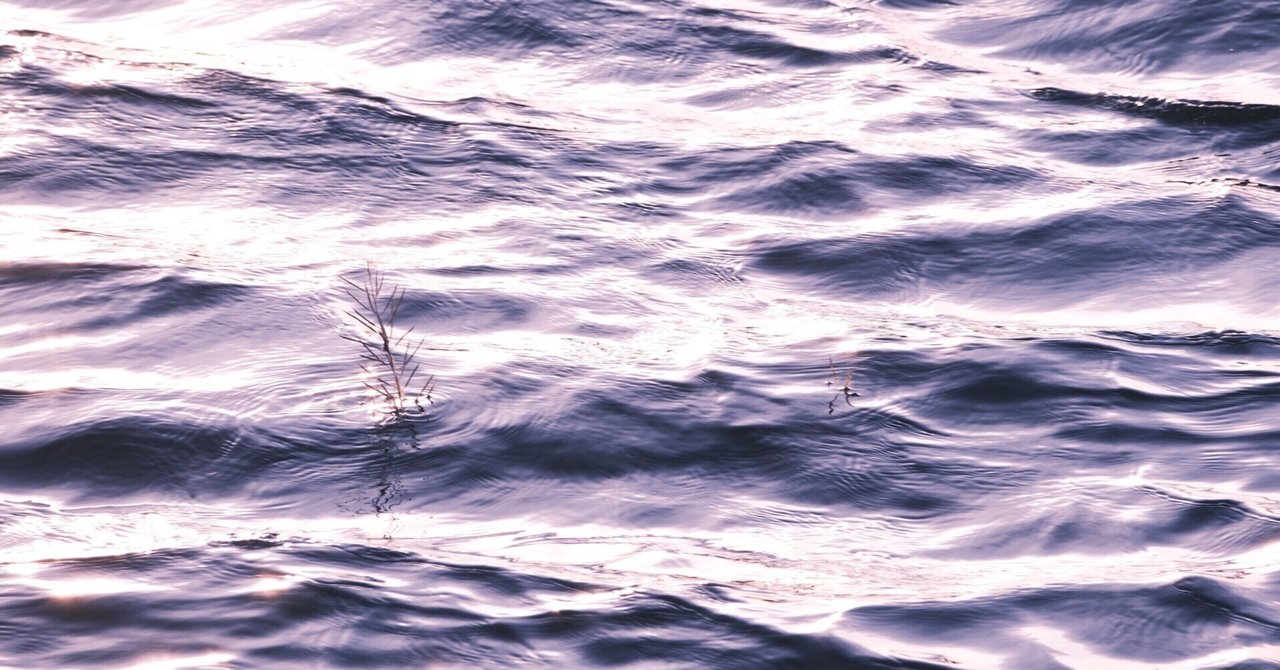 わたしは何を「アーカイブ」する？｜Kaho Hashimoto