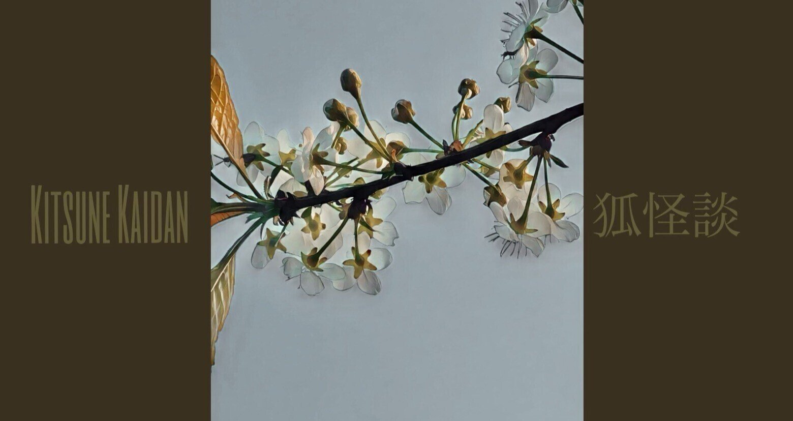 Kitsune-Kaidan (狐怪談）｜note