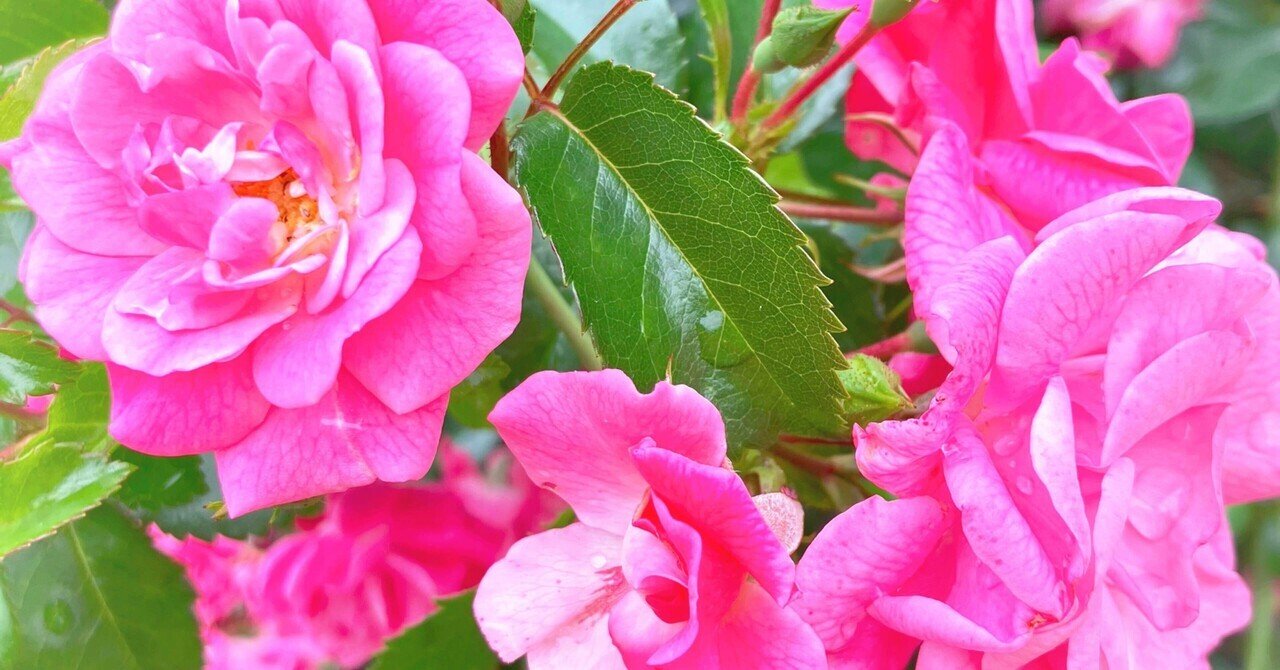 ファッションと文学 VALENTINO NARRATIVES part2｜そらみみ