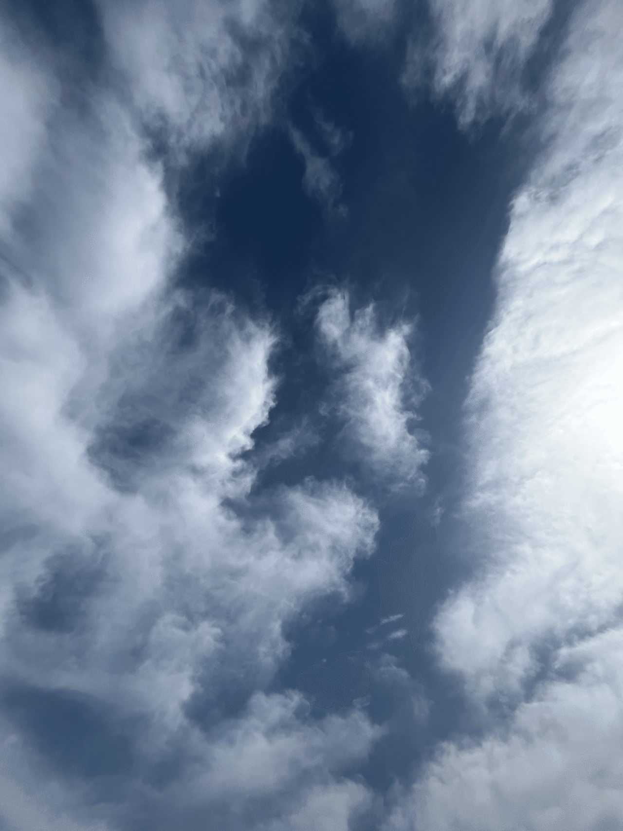 ちょっと〜 ️近いんじゃないの‼️📷｜まるまるの虫 カメさん