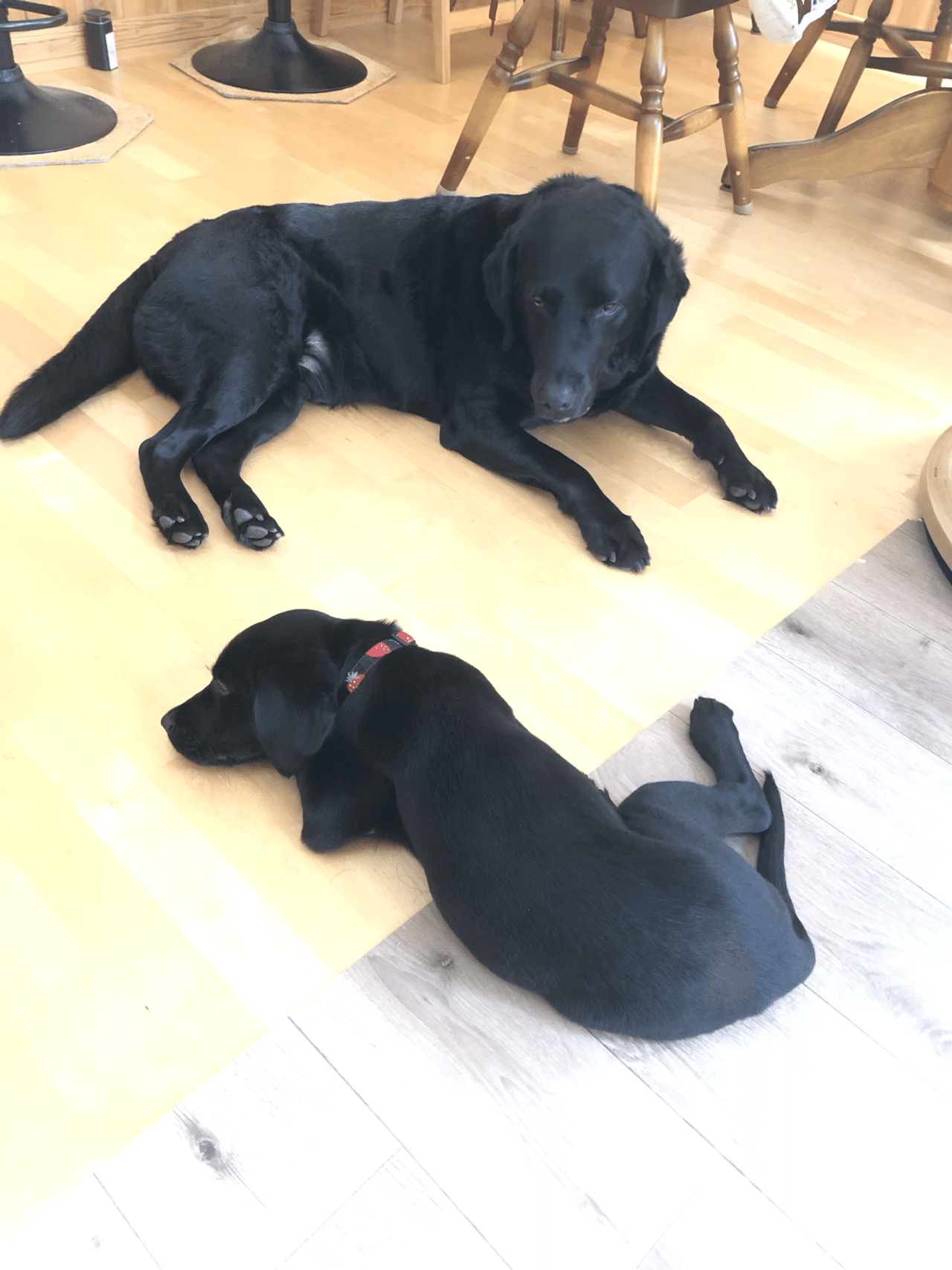 今朝も5時から｜ユメカ（Yumeka.yy）