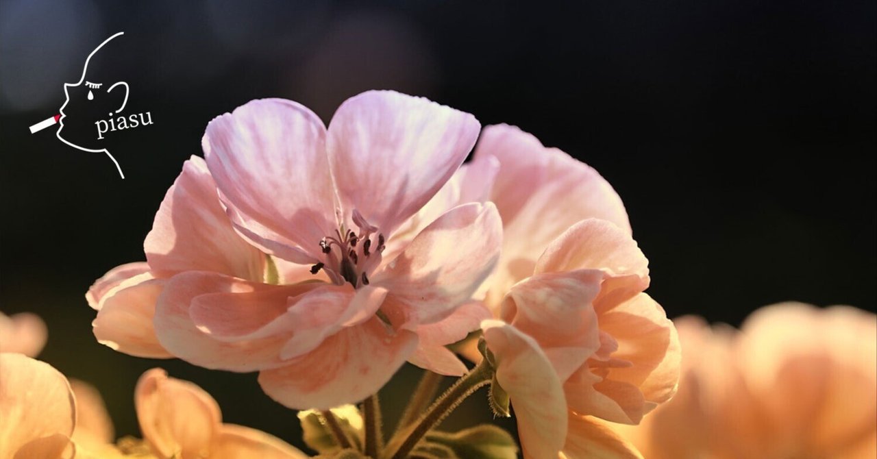 親友｜TANOSHIKA piasu