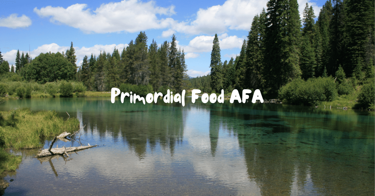 #004 Primordial Food AFA｜E3Live Japan