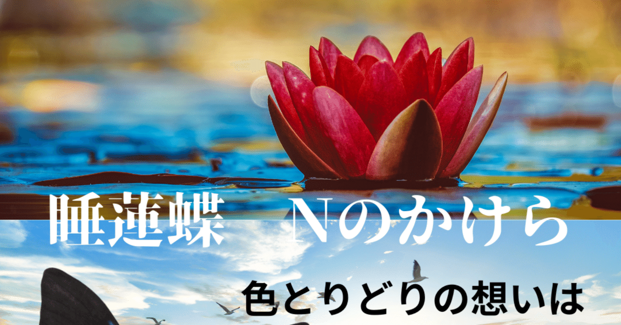 睡蓮蝶 Nのかけら｜tana_life