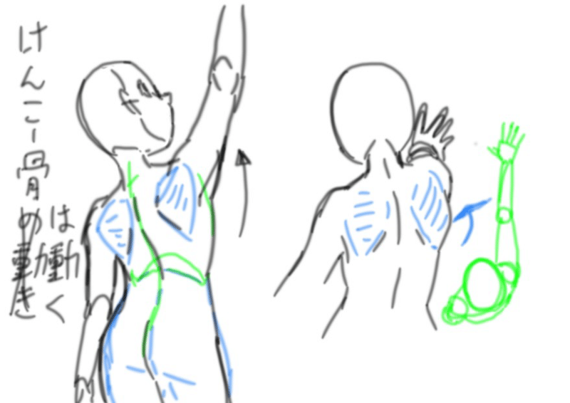 身体の線まとめ｜Hecto
