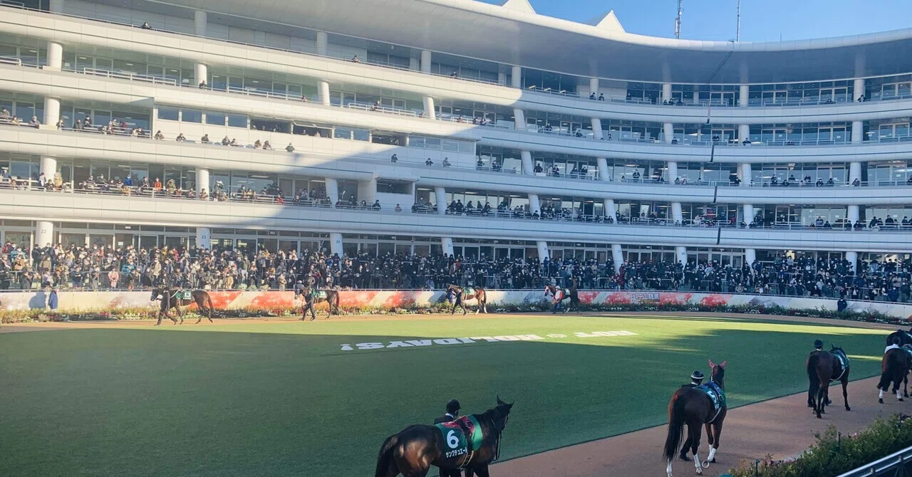 Guide to Horse Racecourse in Japan: Nakayama Racecourse 中山競馬場｜小和田 逸平