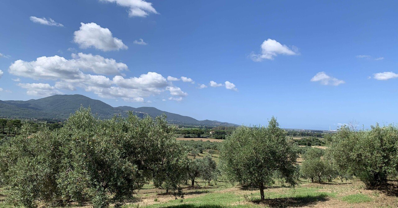 次から次へと…｜YUKI OTA