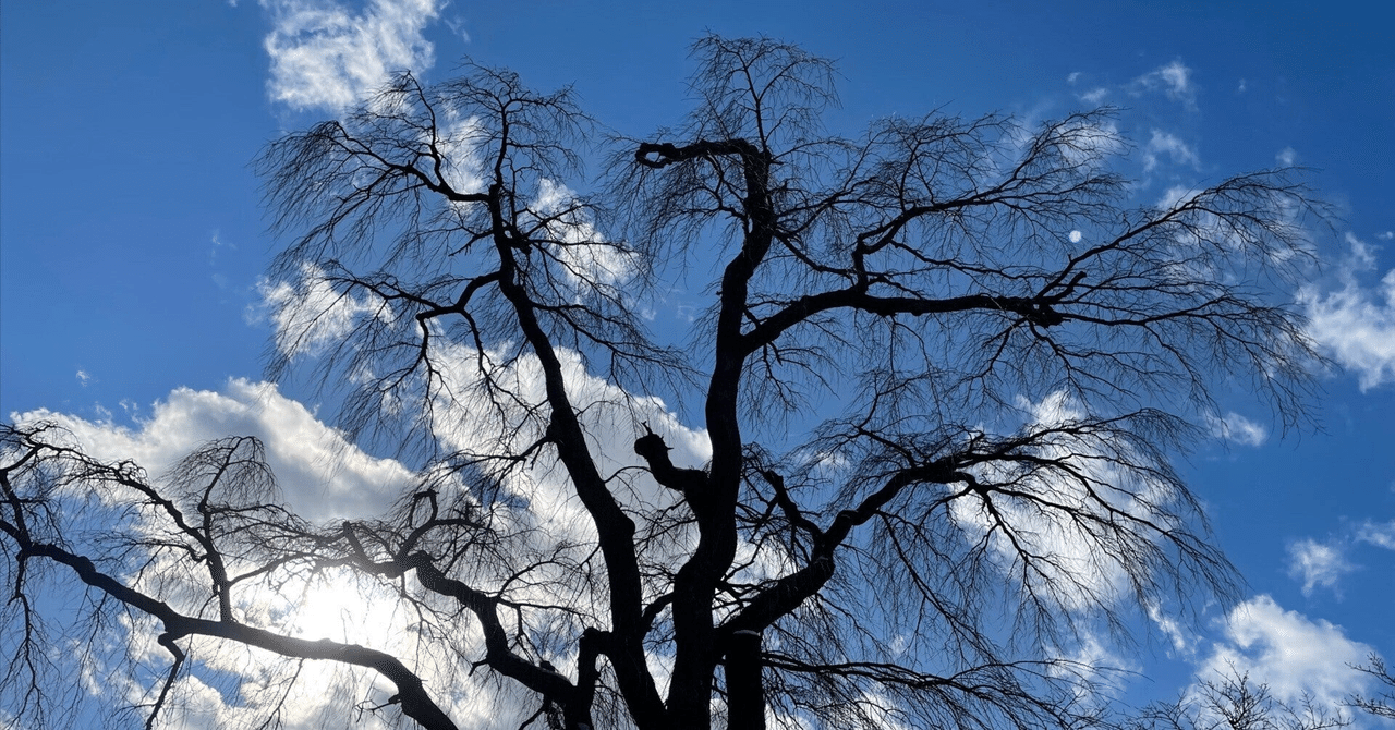 敵討ちと書いて、かたきうちと読みます。江戸時代の侍の世界には、真剣勝負で悔しさを晴らす制度があったのです。現代ならば法の下の裁判ですけどね。｜夢・希望を育てるHP369