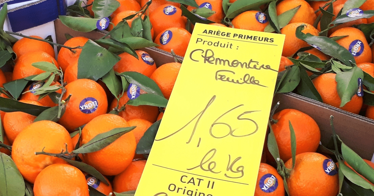 「フランス語を教えてあげる」を仏語で｜Emika@Nihongo Blog