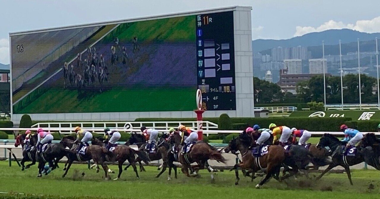 🌈2023年7月1516日土日 中央競馬🏇🟥福島中京函館競馬場函館2歳ステークス、函館記念など 🟥 1週前先取り注目馬候補