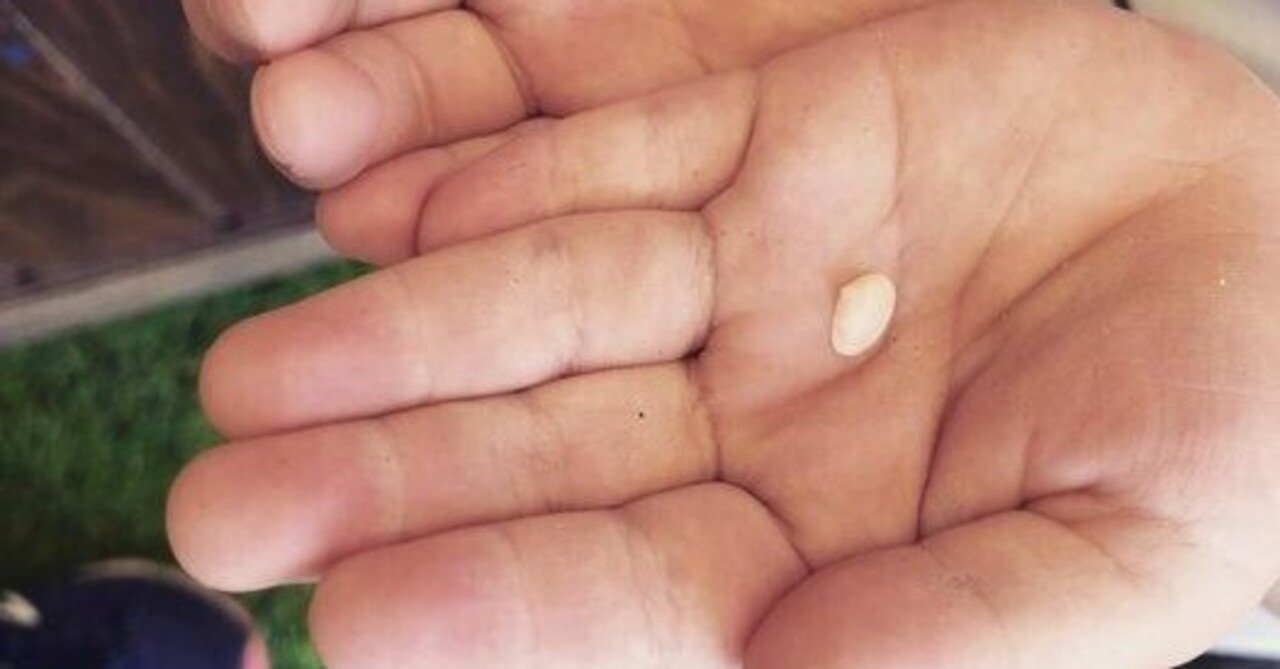 「ポケットの中には♪」｜Ryoko Takemura