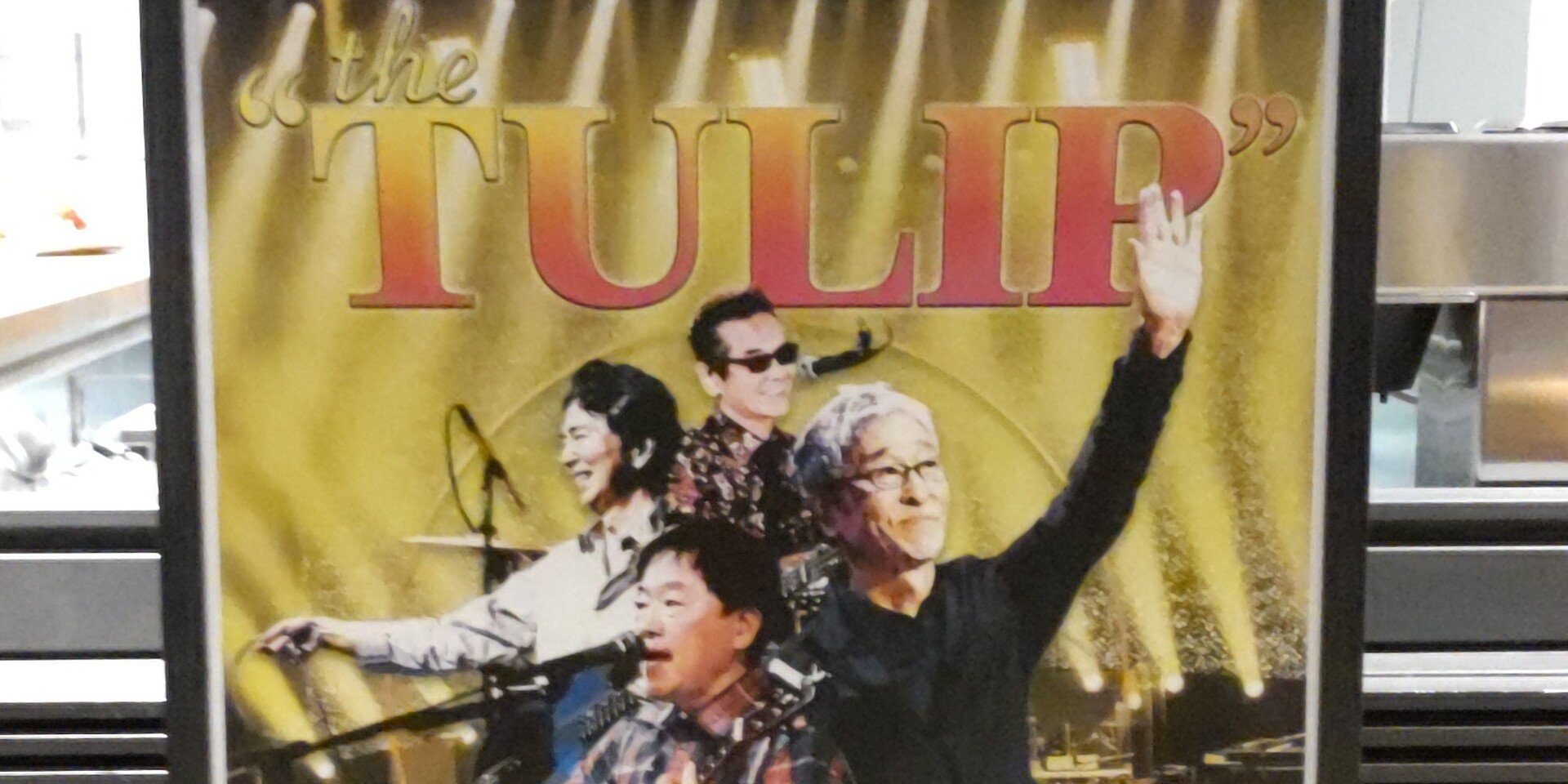 the TULIP - 財津和夫｜SACHIKO｜note