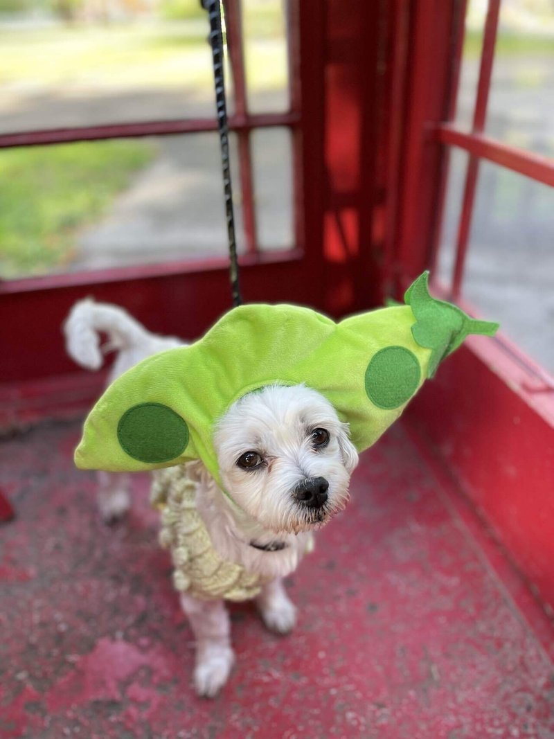 anan webに登場！俺からのお知らせ｜ユイじょり