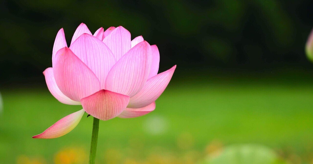 Threads。｜Ruru*Pino