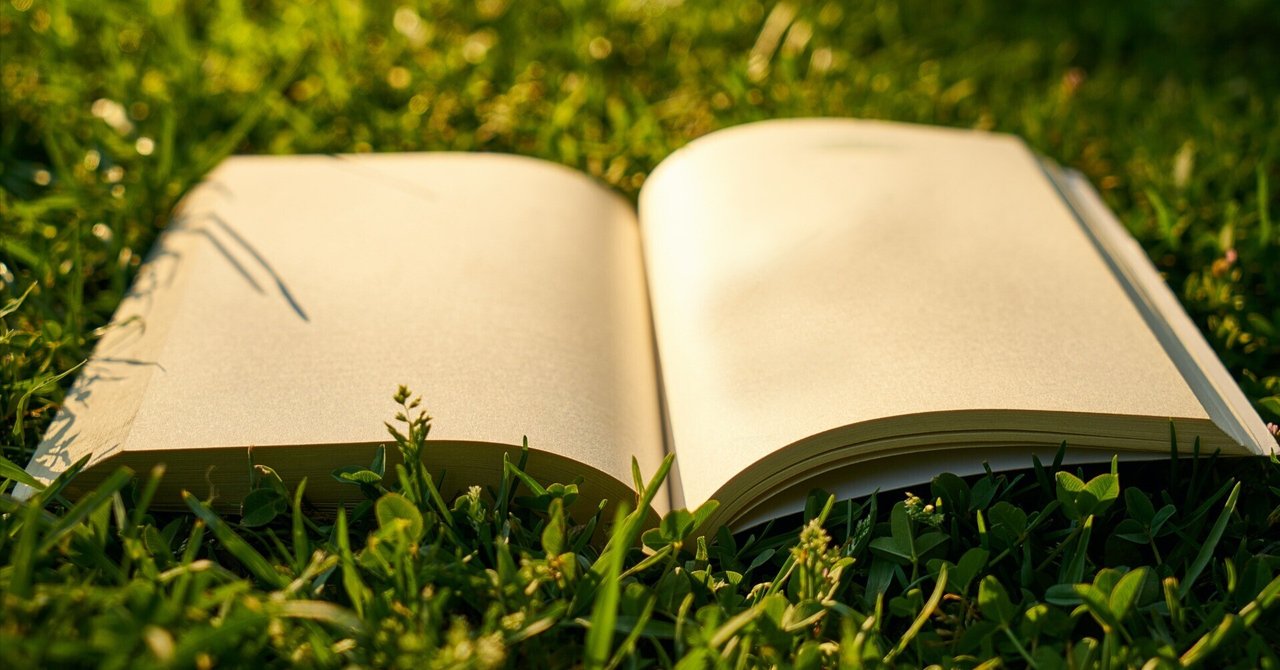 【noteの書き方】自分らしい文章にするには読者に映像で届けること💖｜ひな姫💖＠1,172日8/4💕月間48万PV 全体800万PV&3,000記事★フォロバ100