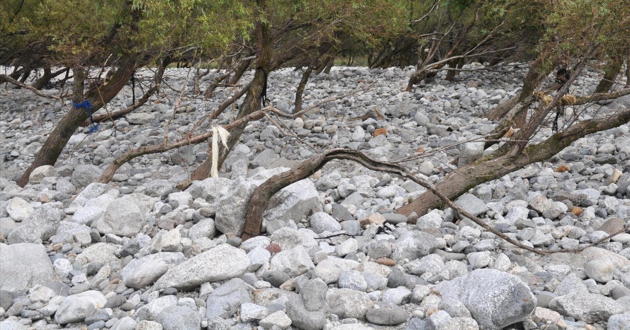 20221004｜そこに山があるという嘘