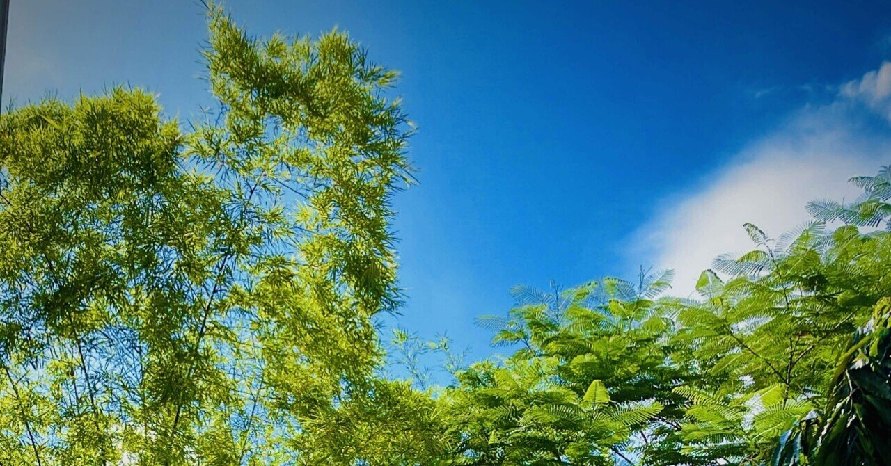 PAIN & GLORY #47 詩的表現｜YUICHI SUGIHARA