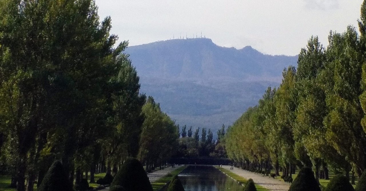 38.CaRe｜SHEEP＆MOUSE