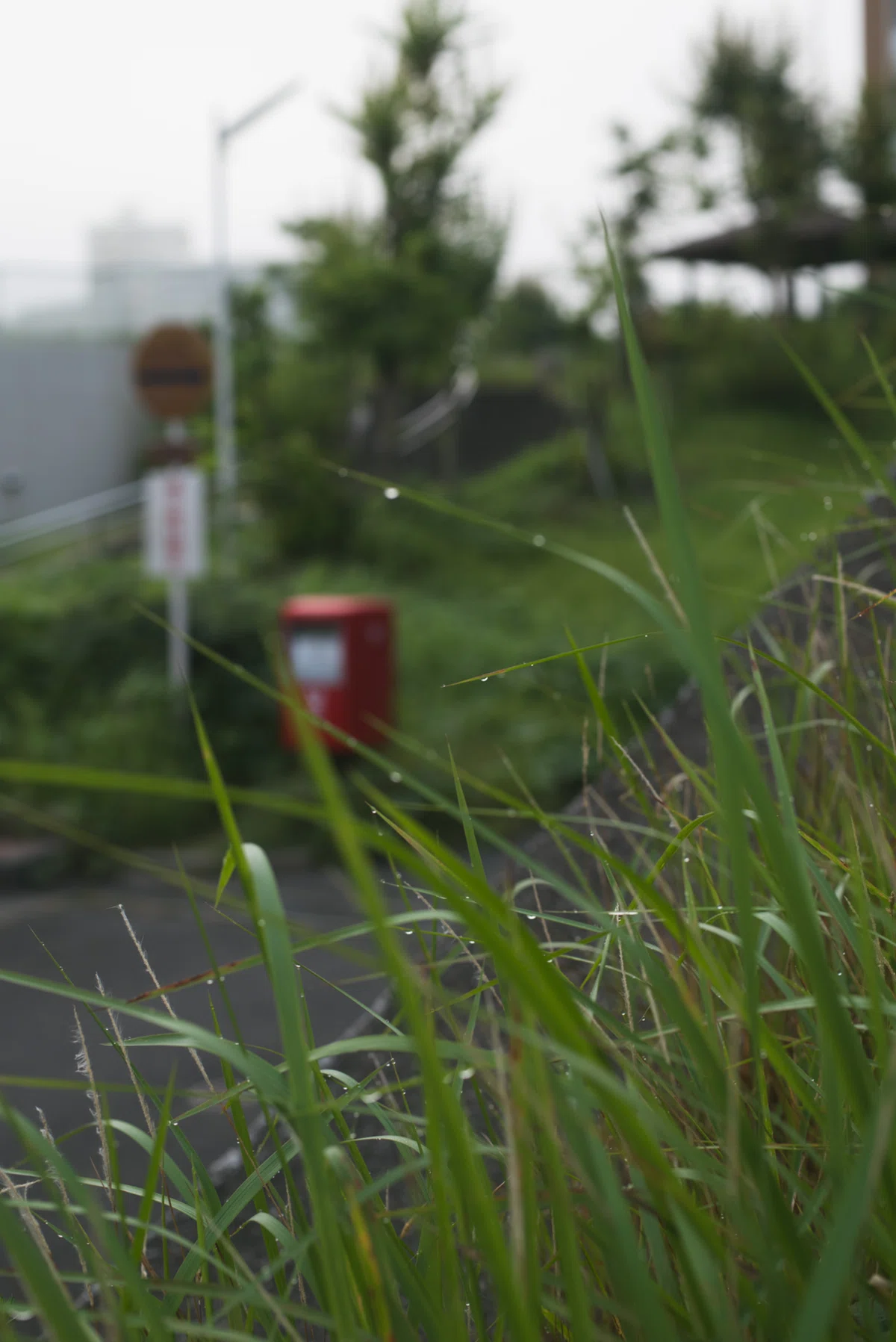 なかなか｜sgk