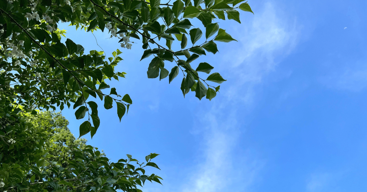 波乱の週明け｜gorogoro_99