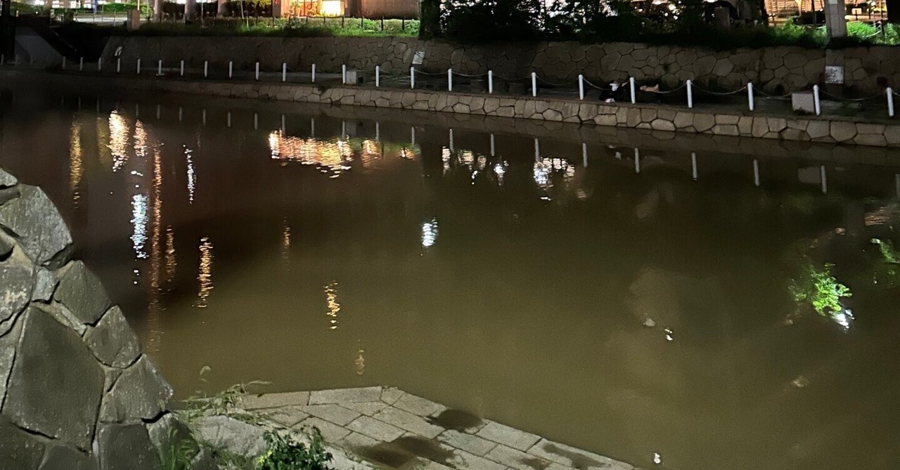 7.11｜Kazuya Kodama