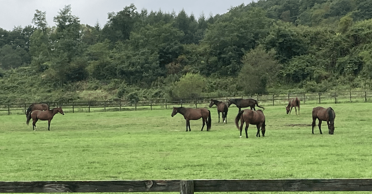 北海道の方言｜Takuya NakaJou