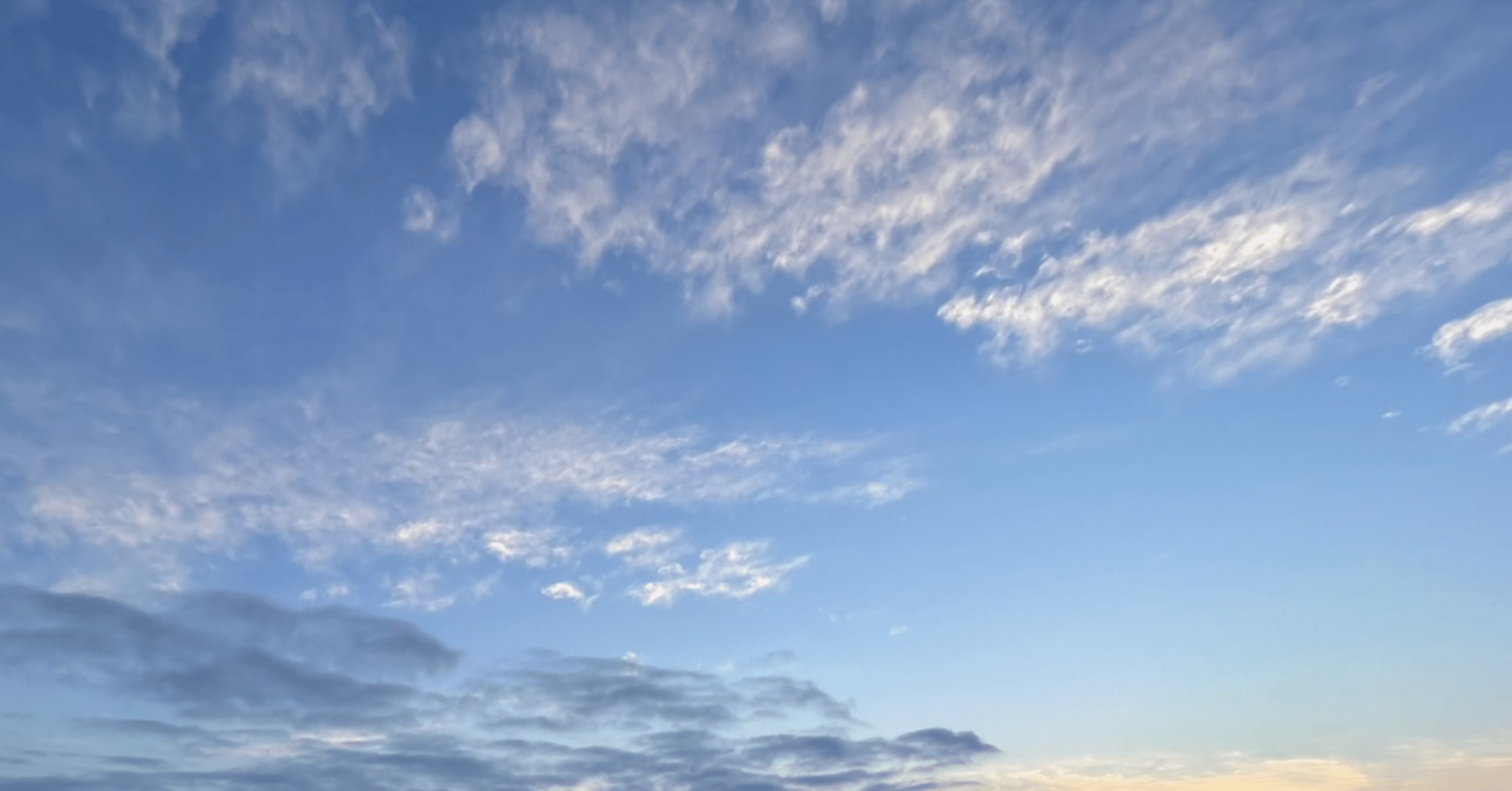 sora┊HSP×INFJ｜note