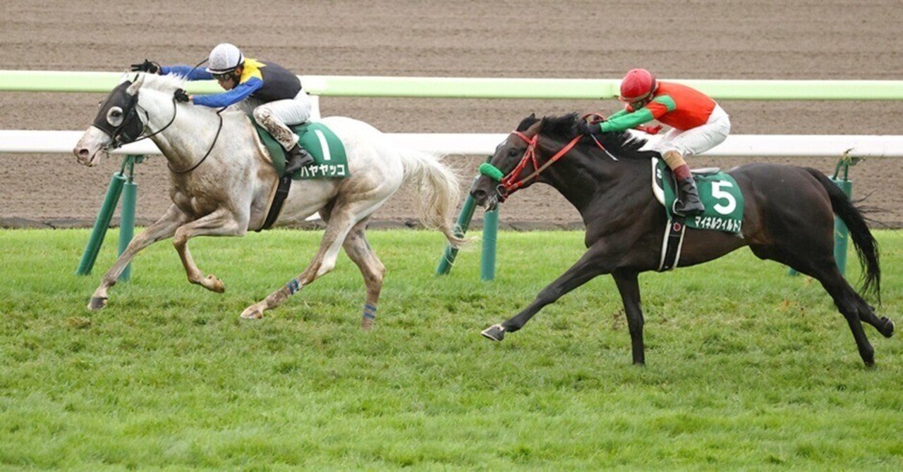 【2023 函館記念（G3）】徹底的に攻略データ篇｜Haya