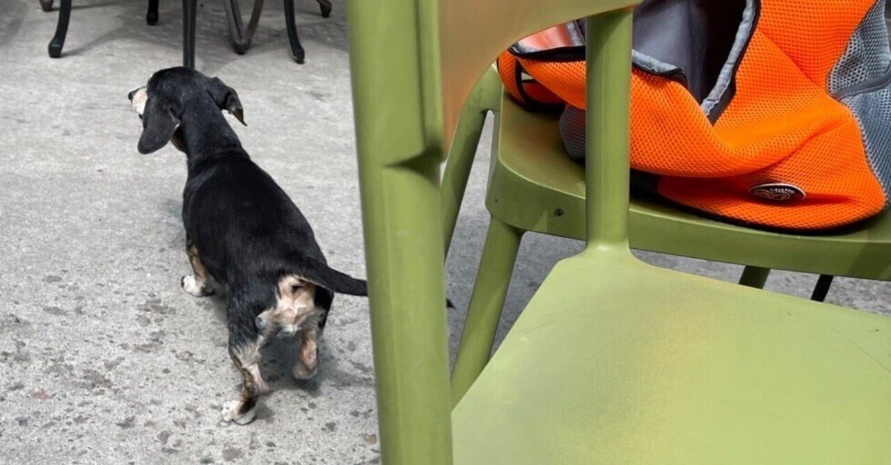 ぴの超耳より"アメリカAmazon&札幌note先行締切リマインド"情報(7/12)｜SENRI OE 大江千里