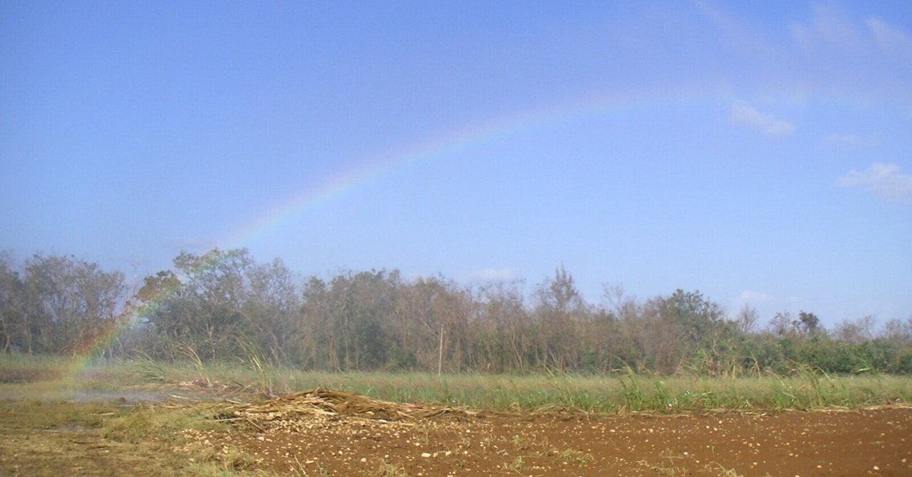 宮古島のいいところは？と訊かれ｜Emeru