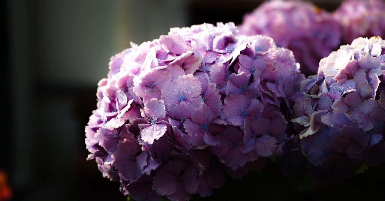 株式会社 Linkについて｜moco moco