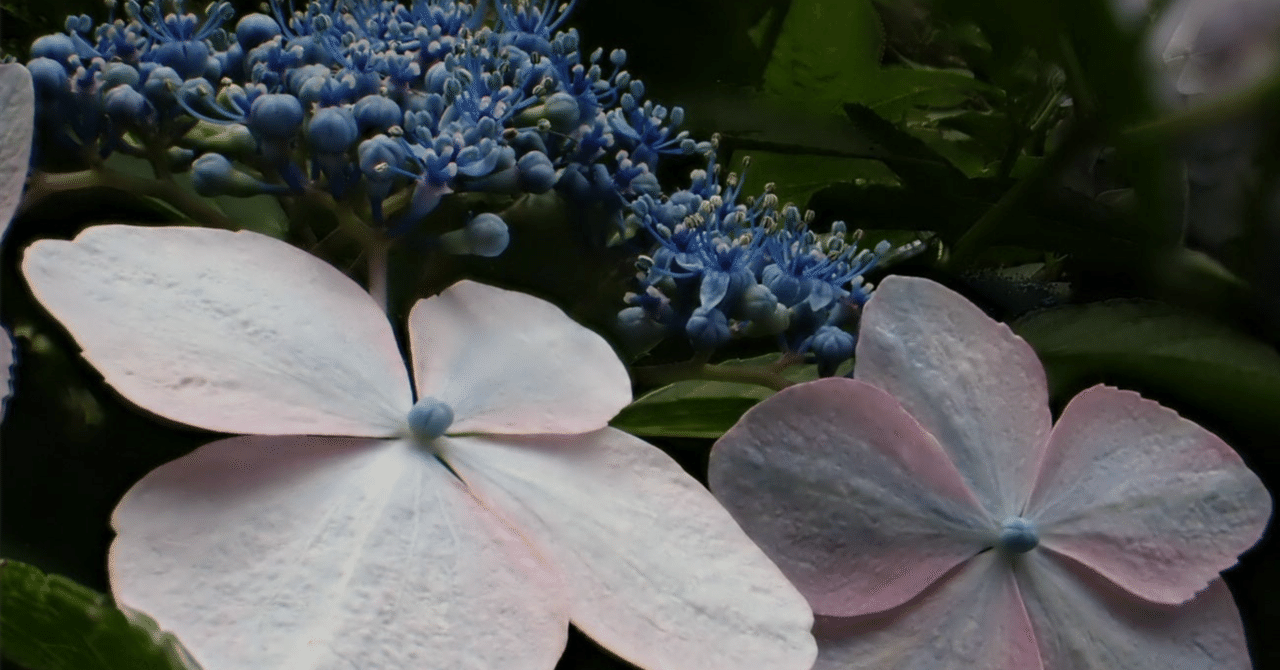 マリーのアトリエRemake、プレイ中！｜neji bit