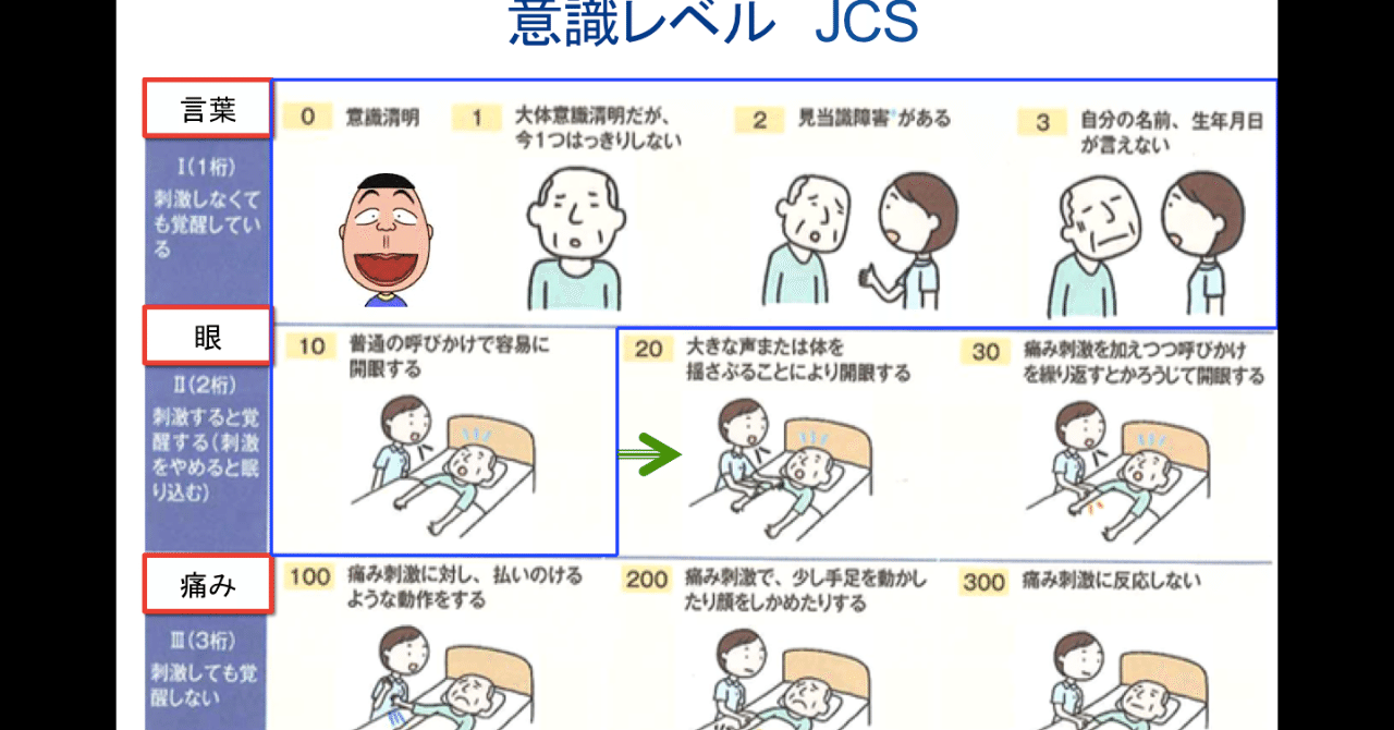 JCSの覚え方①｜plastics nurseing