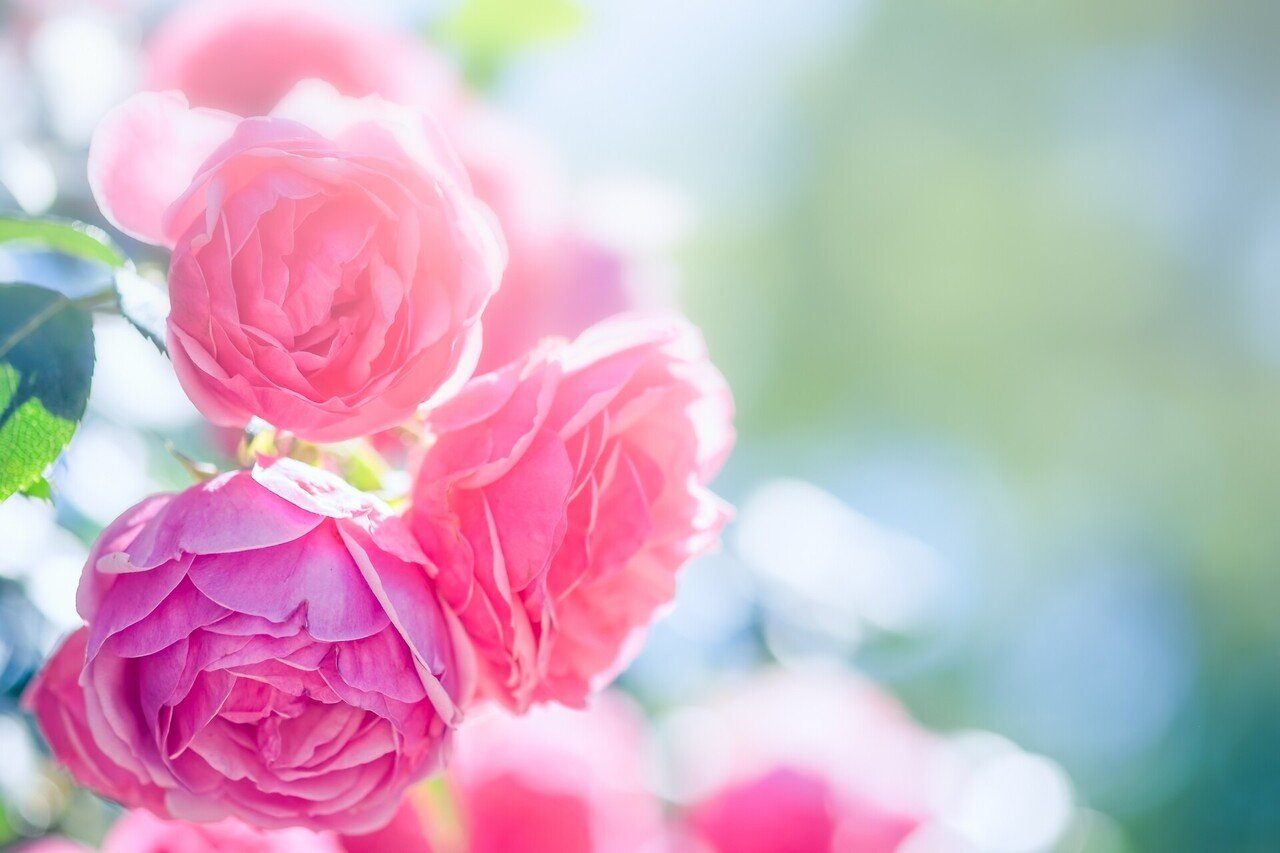 Sunao🪷LOVE＆〝感じる〟女性性マーケティング♡｜note