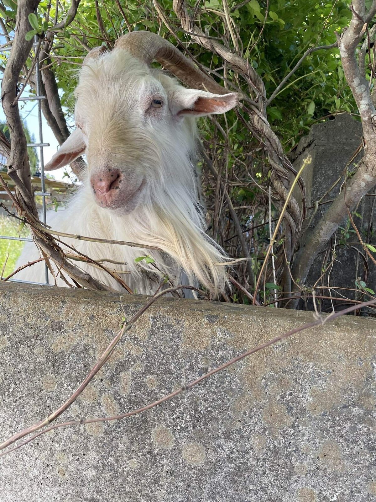 地方移住から2年｜Osada Takuya