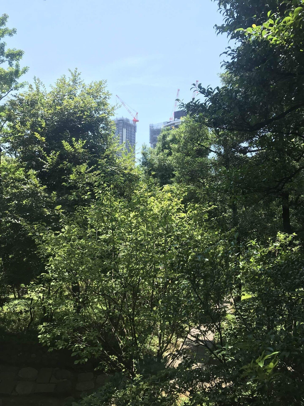 詩と文化を愛する方々に、夏の都心でおすすめのカフェ 根津美術館内のNEZU CAFE https://www.nezu-muse.or.jp ...