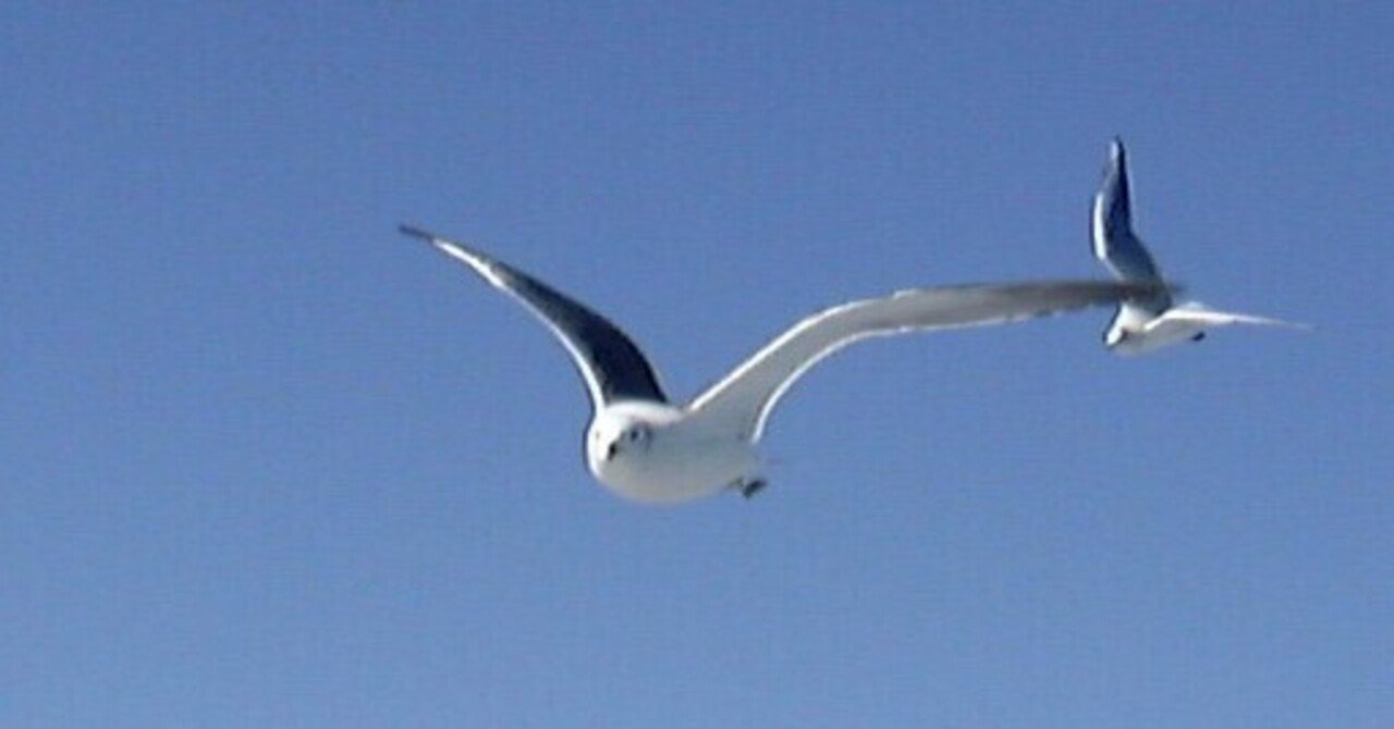 想い出の旅3 初夏、九十九里浜 nagao ｜nagaos.com