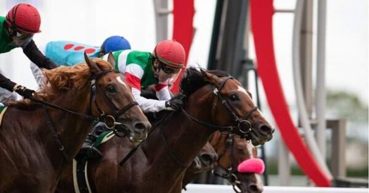 マヤノタバラの競馬道 ～競馬番組解読～｜note