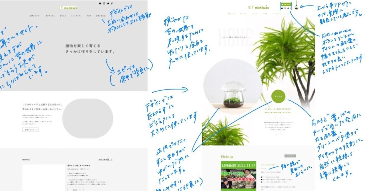 写真を大胆に使った世界観を表現するデザイン｜𝖢𝗁𝗂𝗍𝗈𝗌𝖾 𝖪𝖺𝗍𝗈｜𝖡𝖨𝖲𝖢𝖮𝖬, 𝗂𝗇𝖼.